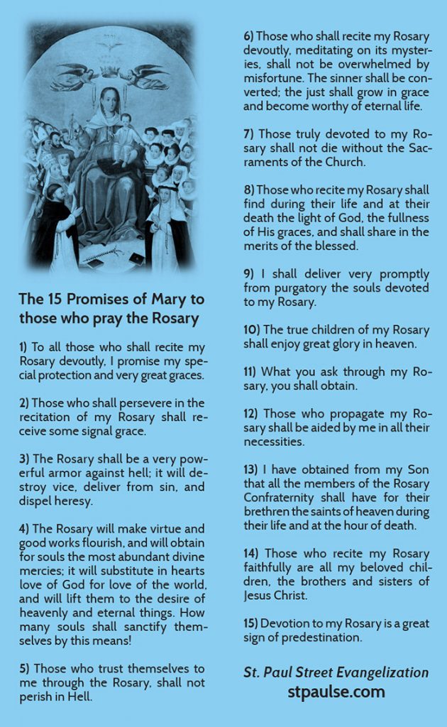 15 Promises of Mary Bookmark (100 Pack) – St. Paul Street Evangelization